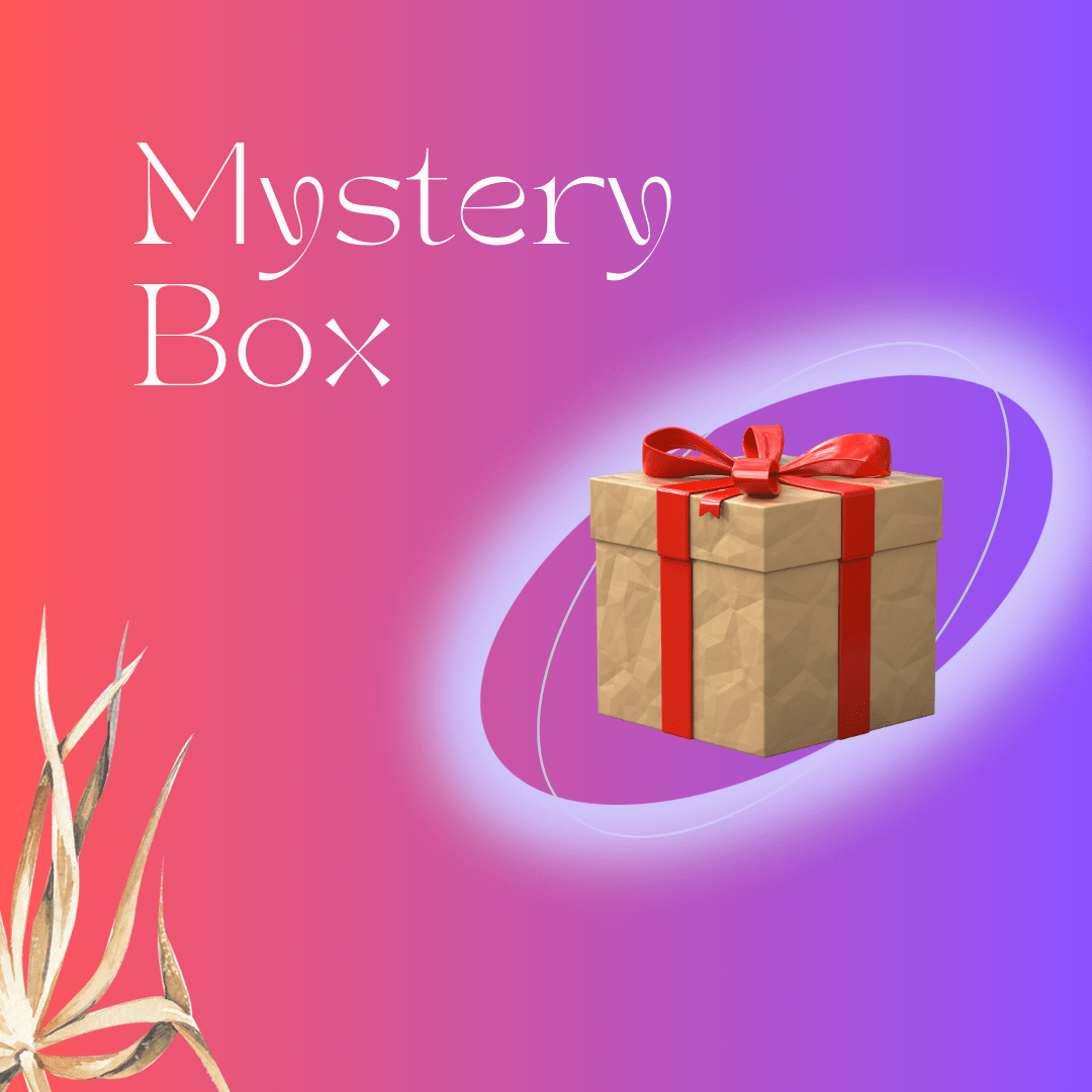 Mystery Gift Box Ireland | Surprise Letterbox Gift – The Book Resort